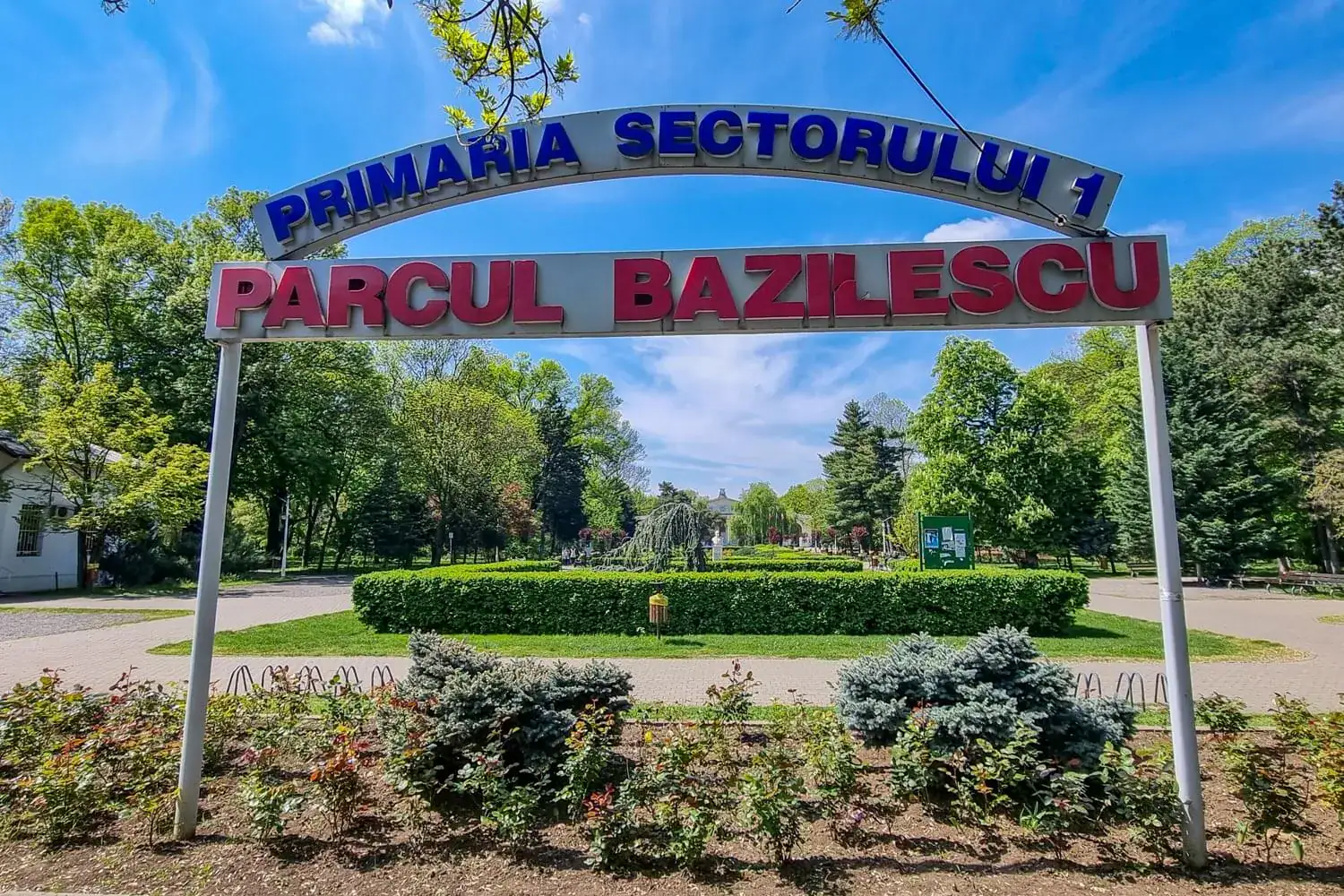De ce a tăiat Primăria Sectorului 1 mai mulți arbori din Parcul ...