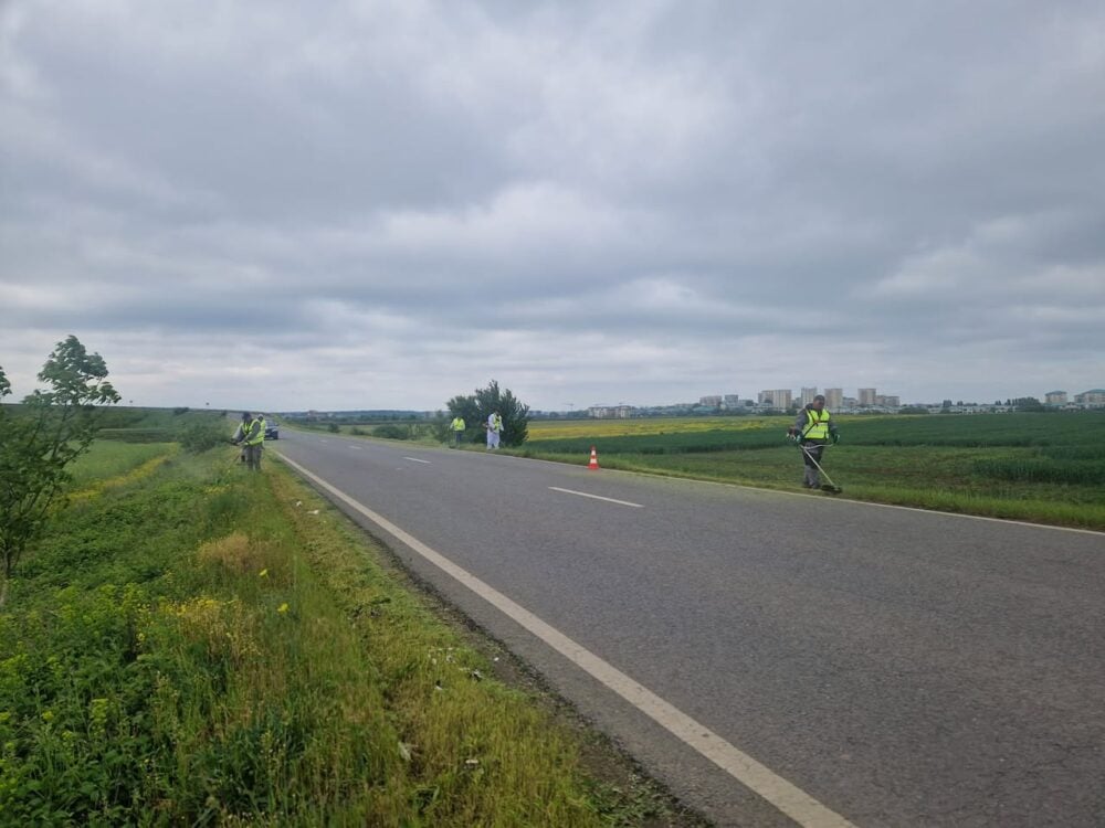 Ilfov | Acțiuni de combatere și eliminare a ambroziei, în toate ...