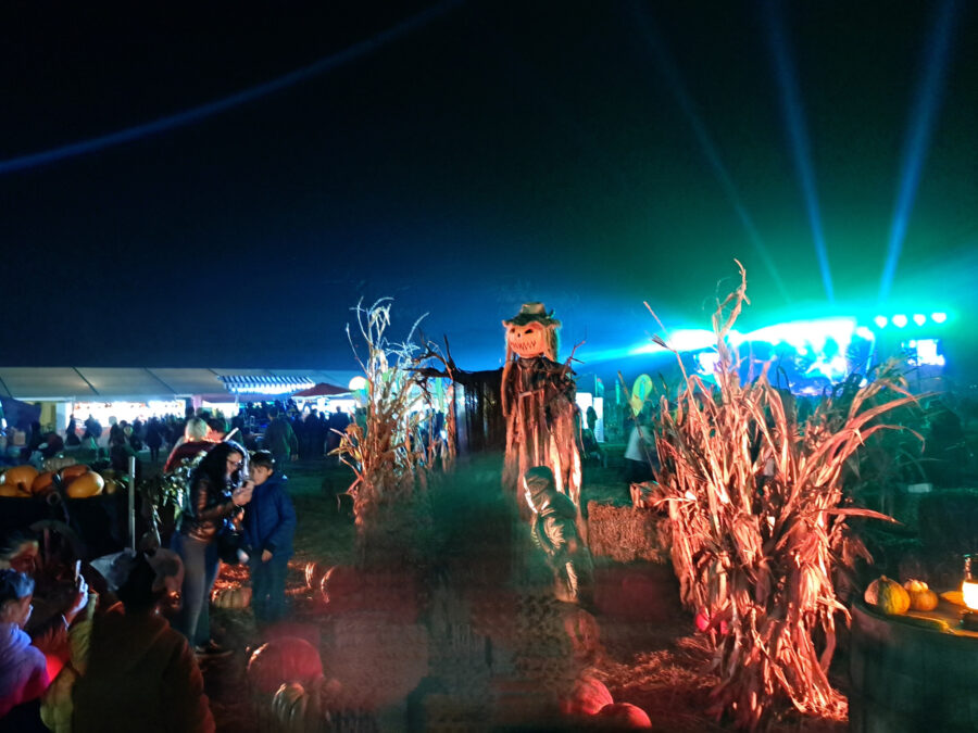 „Orăşelul bântuit” de Halloween, de pe insula Lacul Morii. Cum a fost ...