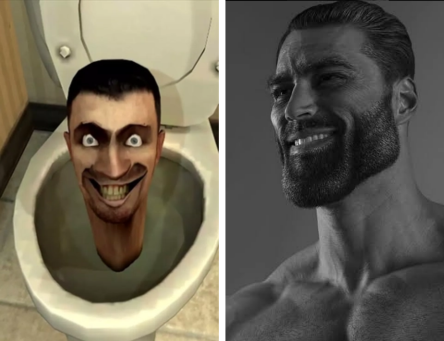 Ce înseamnă skibidi toilet? Cine e Giga Chad? Expresiile generației ...