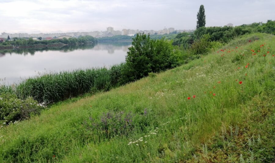 Sector 2 | Concurs internațional de soluții pentru amenajarea lacurilor ...