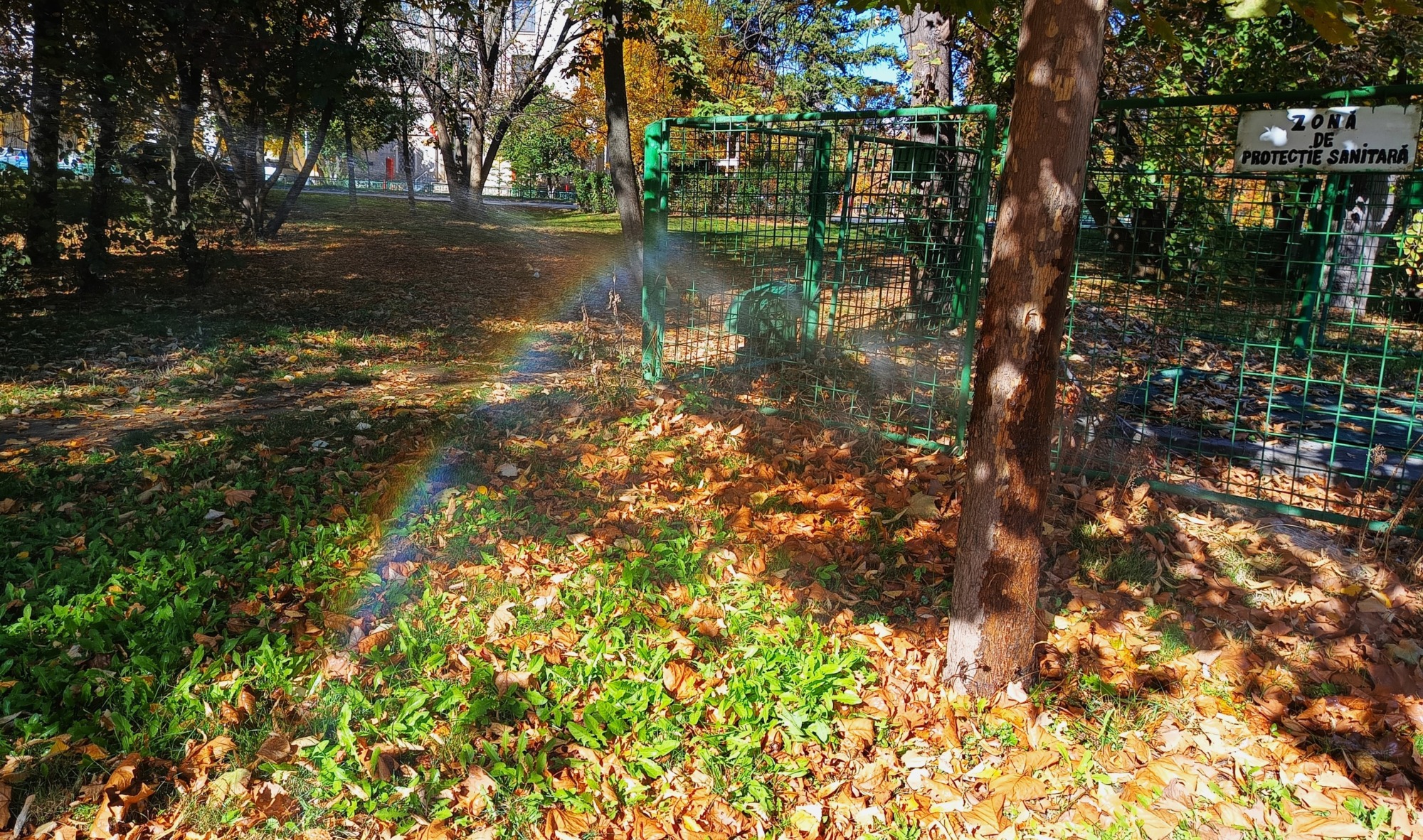 „Rogvaiv“ - Buletin de București