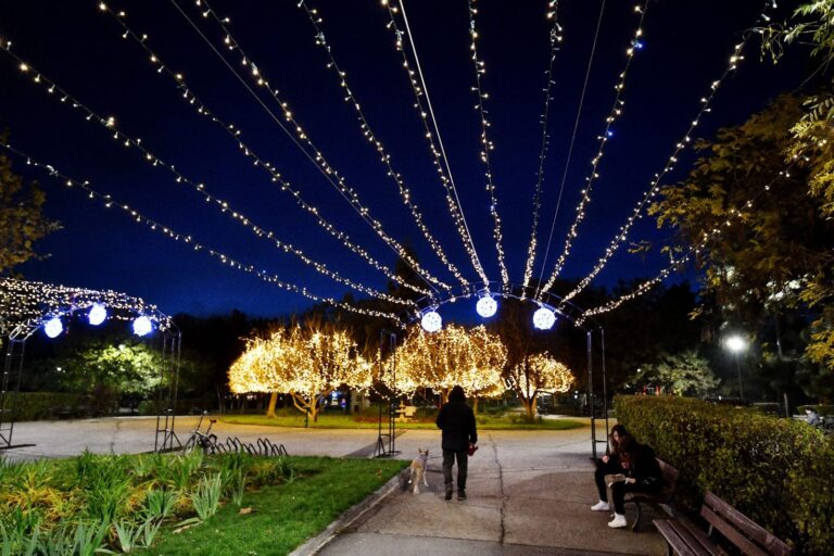 Sector 6 | Şapte parcuri vor fi iluminate festiv în această iarnă ...