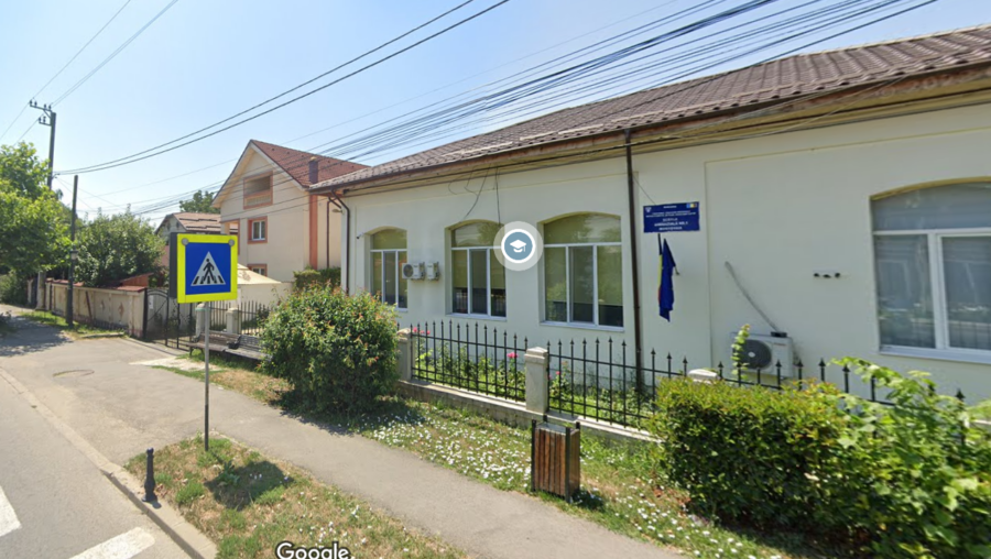 Alegeri locale 2024 | Violențe la o secție de vot din Mogoșoaia ...